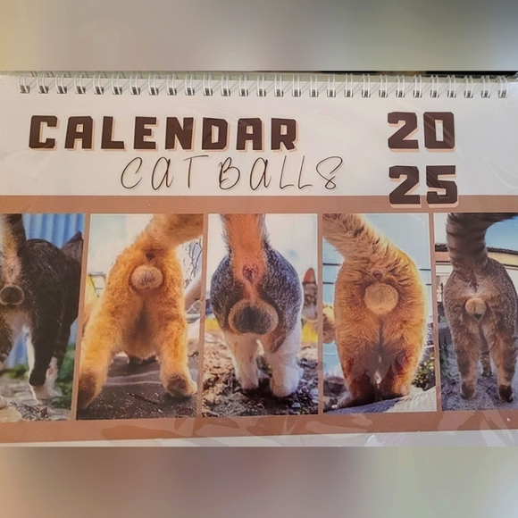 Office | 225 Cat Balls Calendar | Poshmark